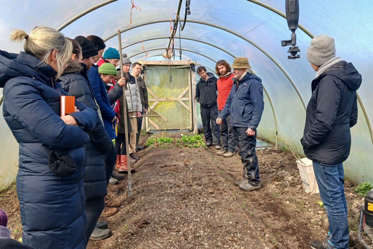 OGI Network | Organic Growers Ireland